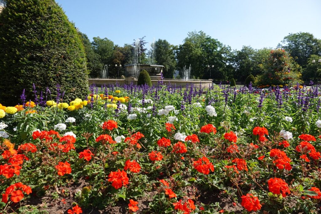 Hull’s Rose Bowl will flourish this summer despite coronavirus – Hull ...