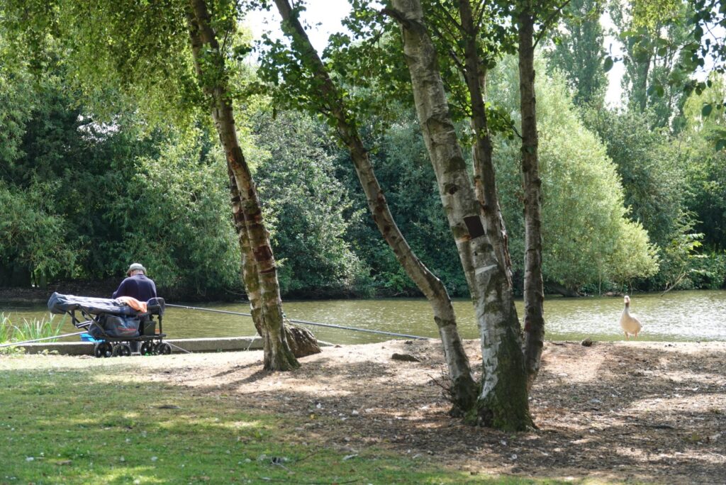 Hull parks: 5 things you might not know – Hull CC News