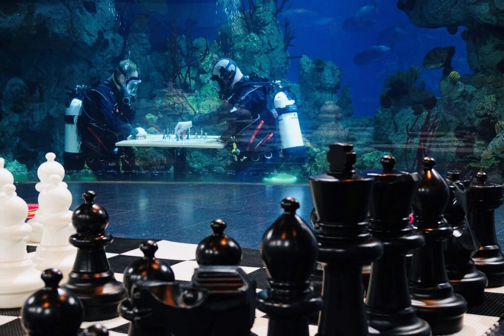 Find out why divers at the Deep have been playing chess – Hull CC News