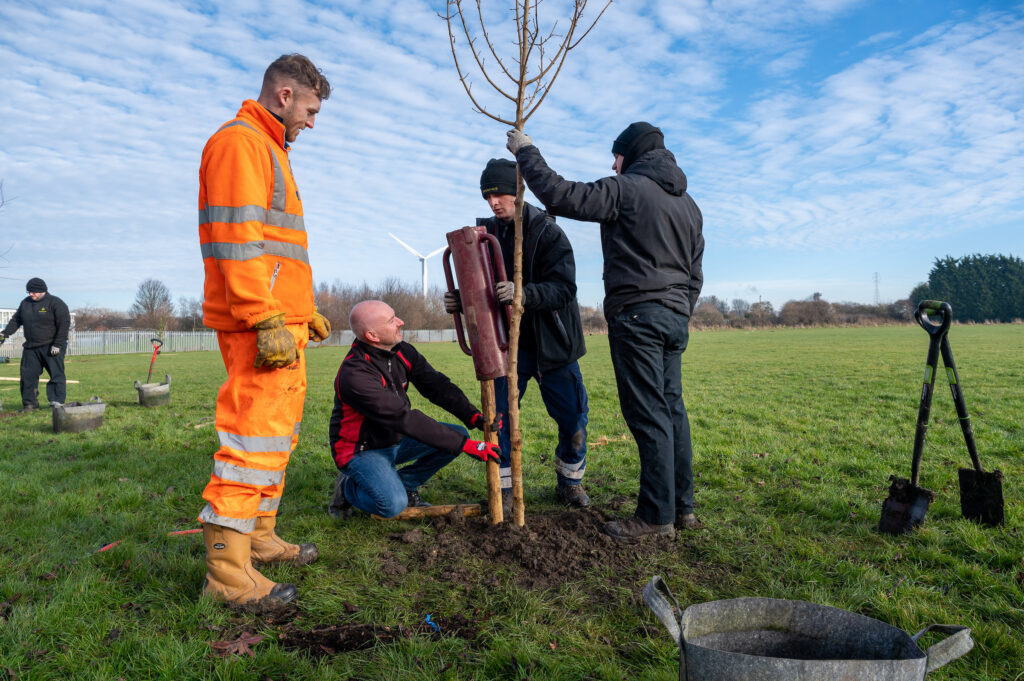 ‘Wood’ you believe it? Hull announced as Tree City of the World for ...