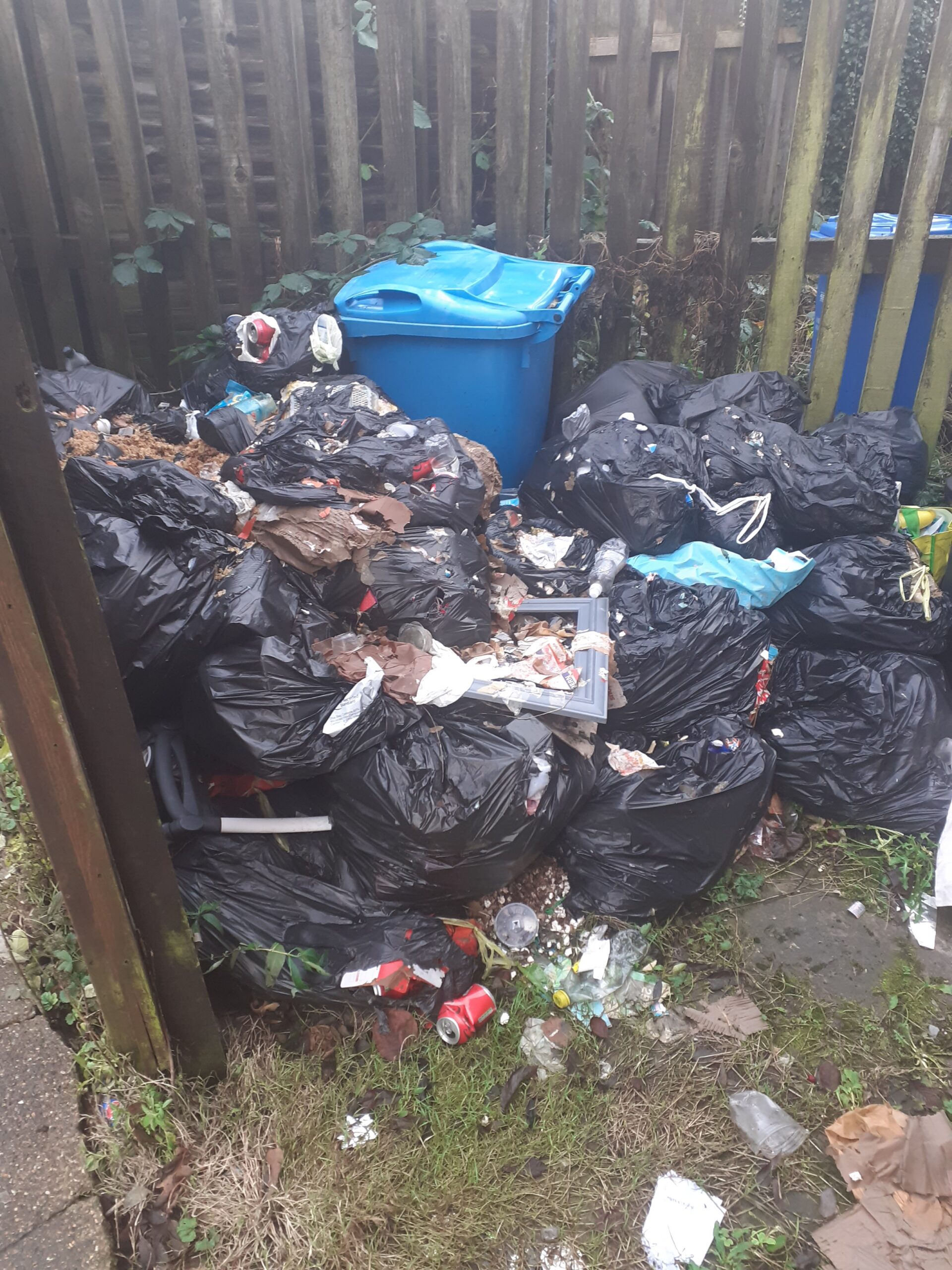 Hull property owners prosecuted and fined for untidy land – Hull CC News