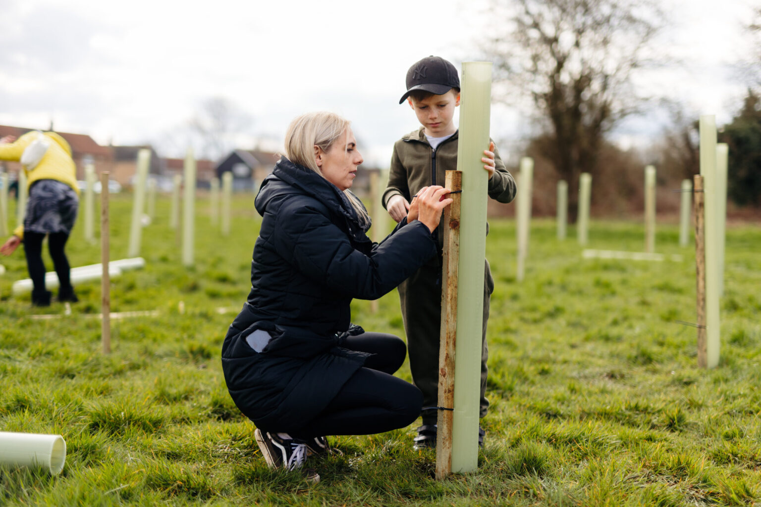 Humber Forest plants a quarter of a million trees to support ...